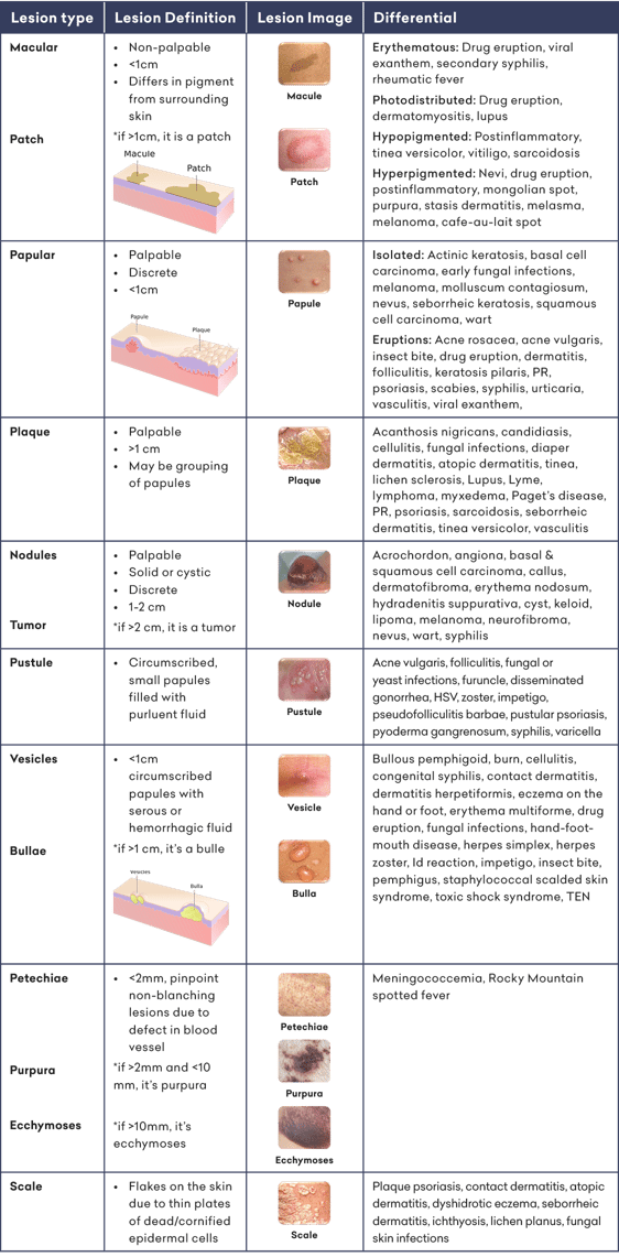 Dermatology Demystified