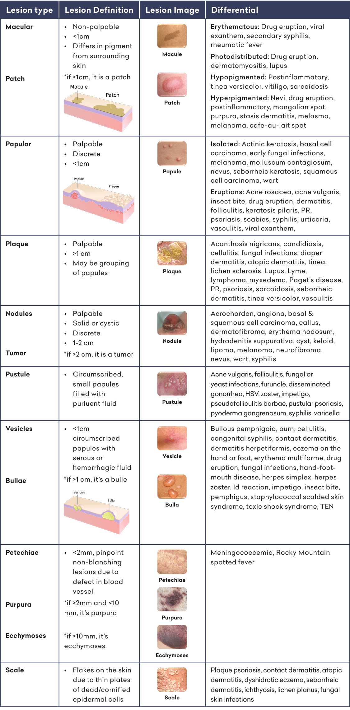 Dermatology Demystified